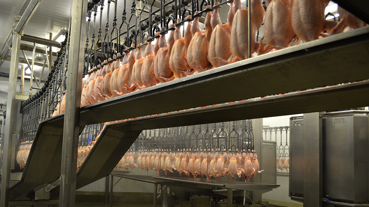 Atalaia Alimentos - Saudável como a vida deve ser!